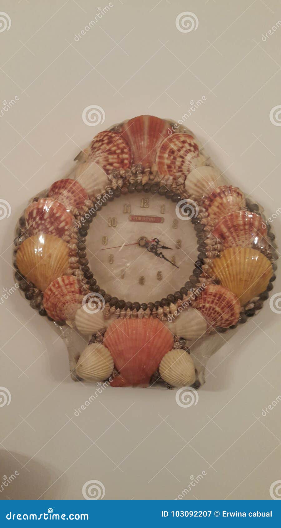 Seashell Clock stock image. Image of shell, collection - 103092207