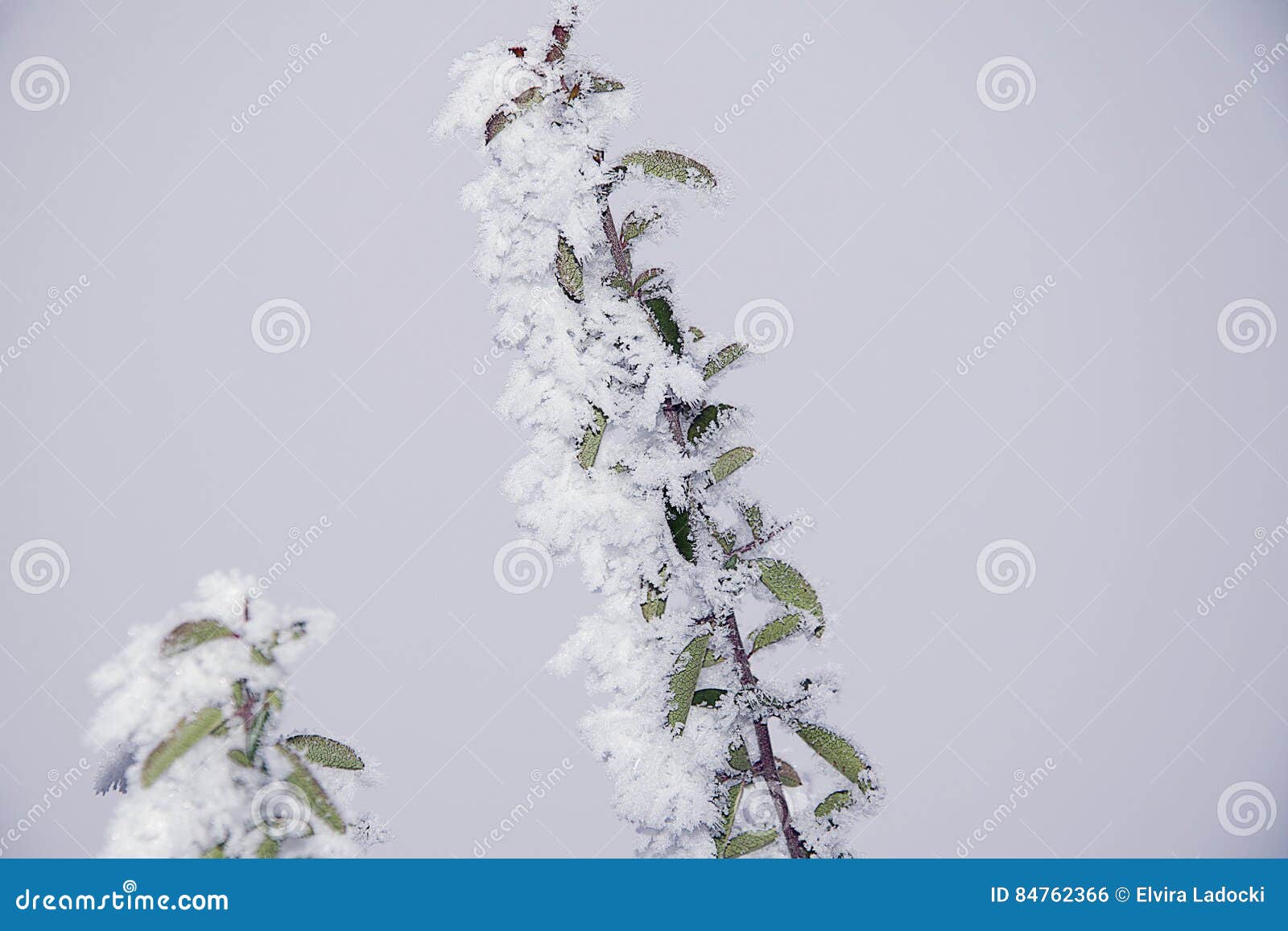 Its winter stock photo. Image of blue, monochrome, white - 84762366