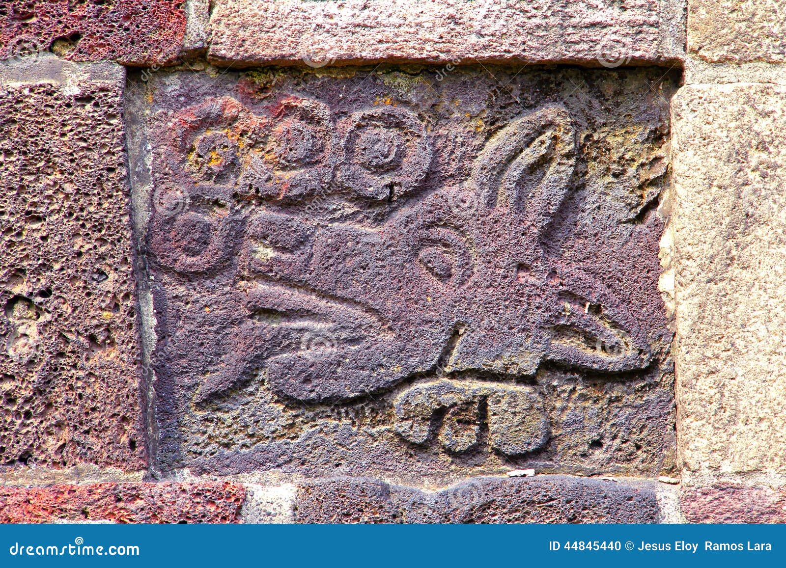 Itzcuintli I foto de archivo. Imagen de arte, ciudad - 44845440