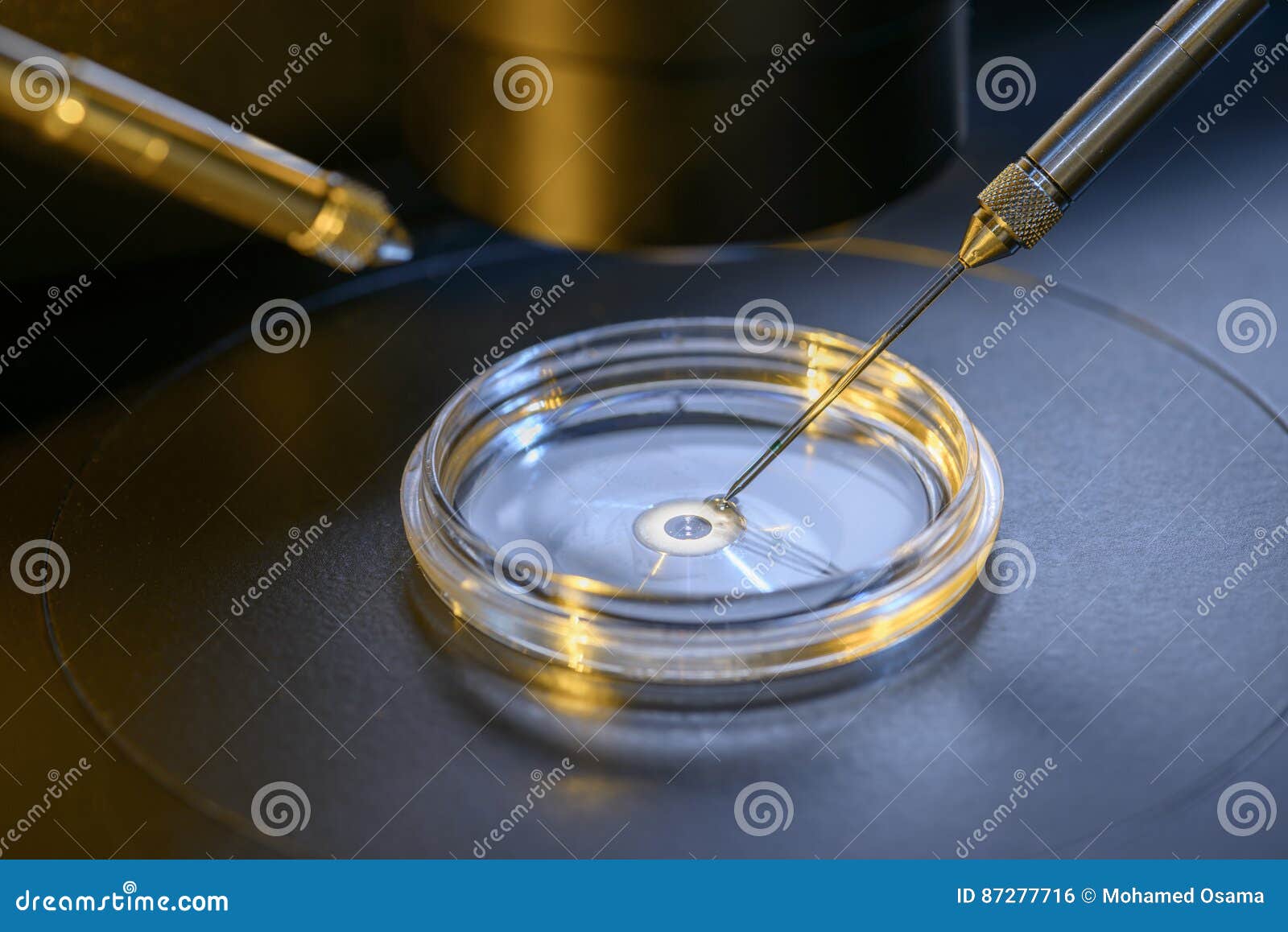 IVF Laboratory Microscope stock photo. Image of fertilizaion - 87277716