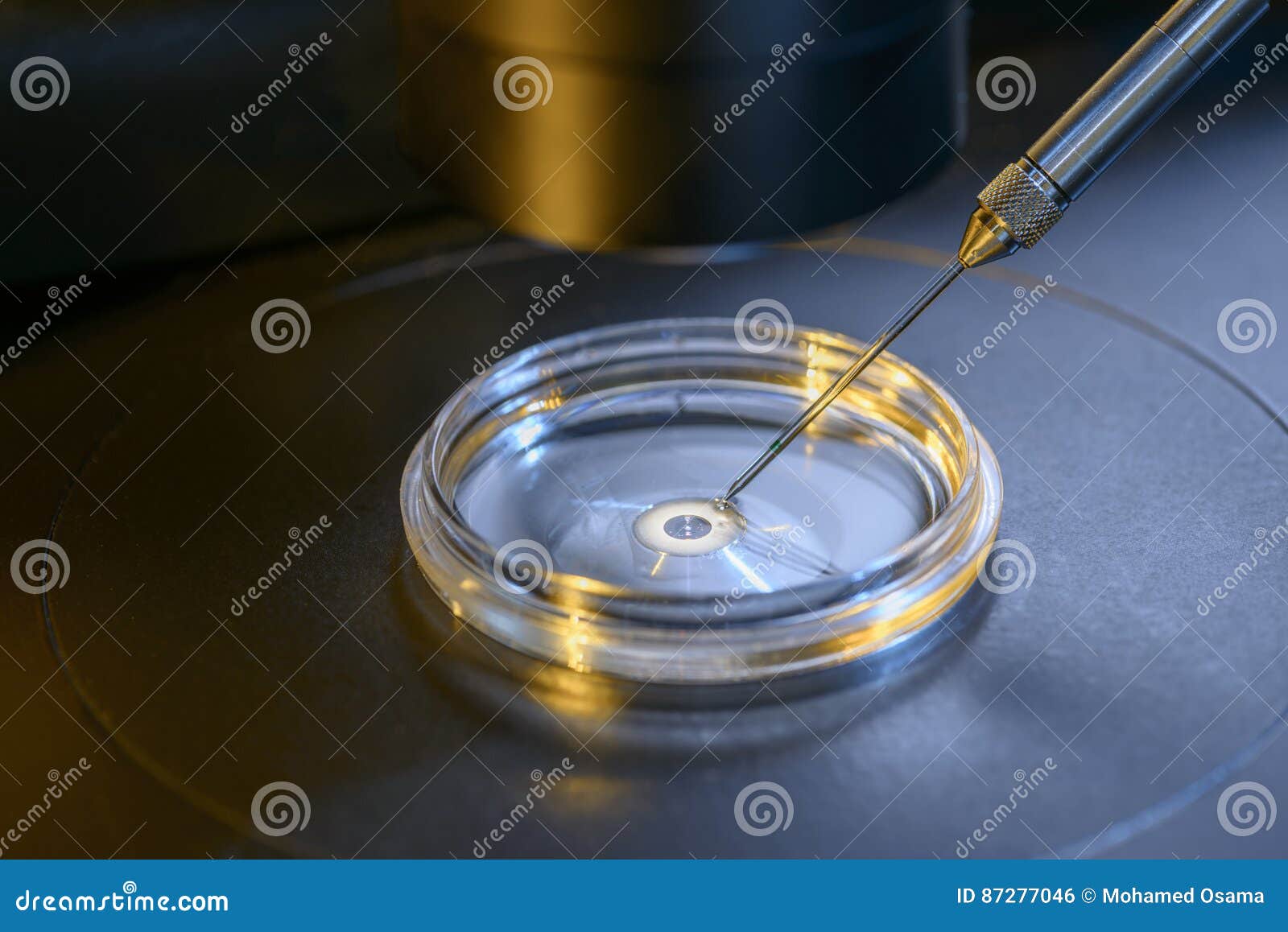 IVF Microscope Closeup stock photo. Image of clinic, inject - 87277046