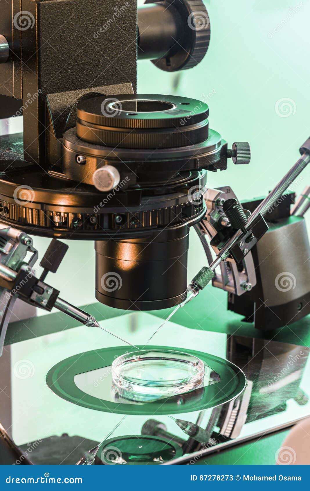 IVF Microscope stock image. Image of embryologist, petri - 87278273
