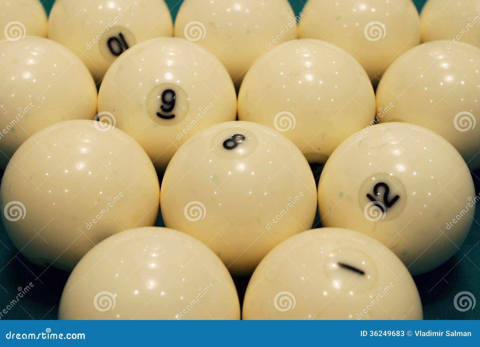 Ivories stock image. Image of green, closeup, cutout - 36249683