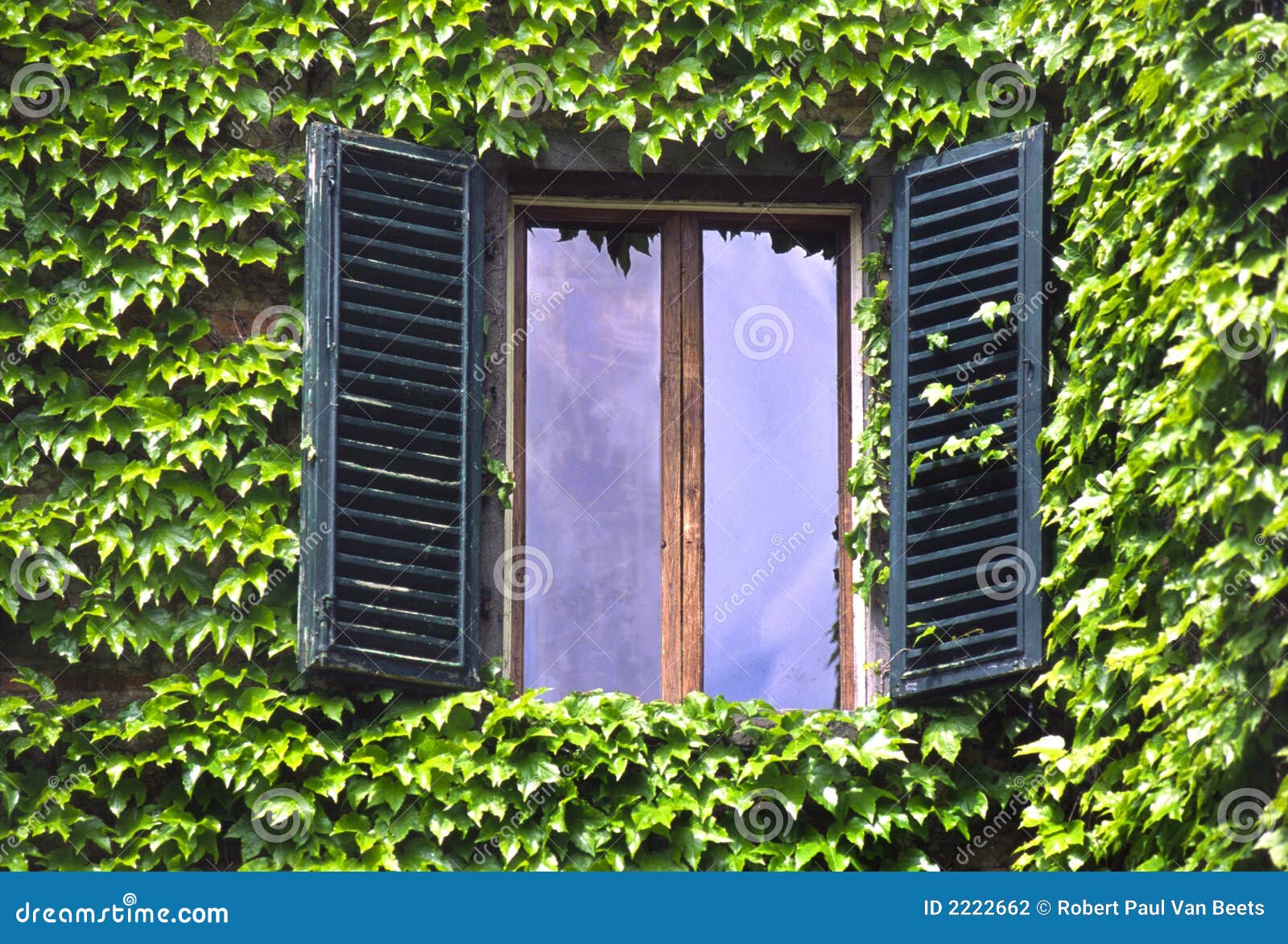 Ivory Grown Wall with Windows Stock Photo - Image of wall, windows: 2222662