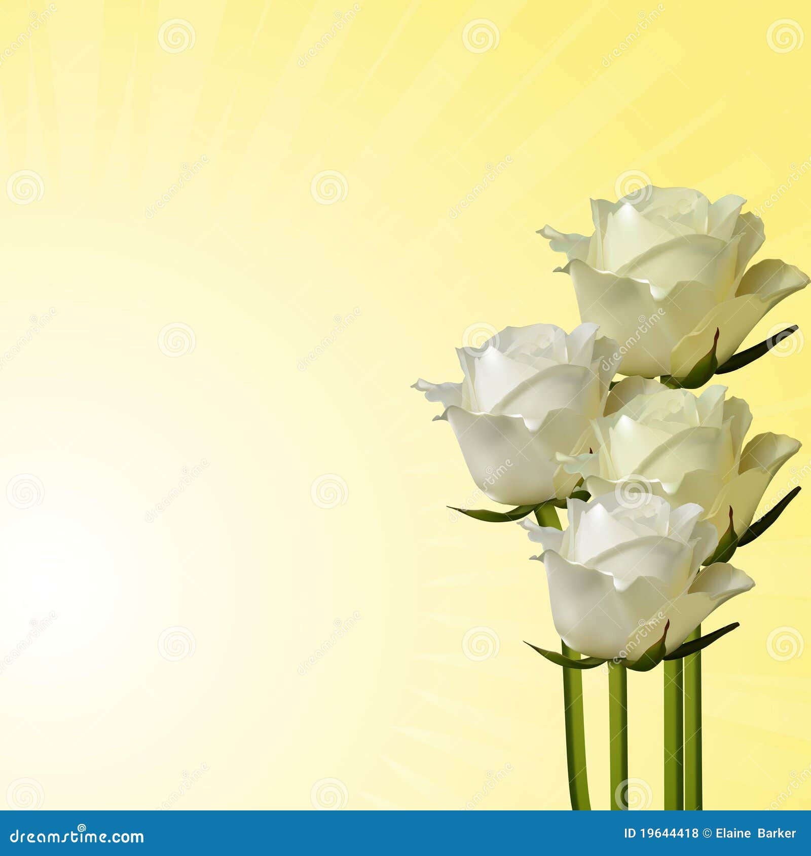 Ivory Roses on a Cream Background Stock Illustration - Illustration of ...