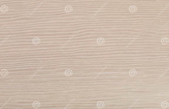 Ivory Wood Texture and Background Stock Photo - Image of floor, nature ...