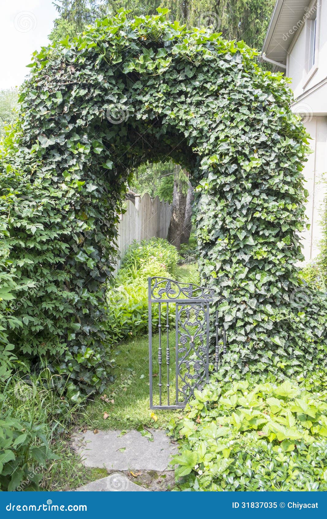 Ivy Arch Doorway stock image. Image of summer, plants - 31837035