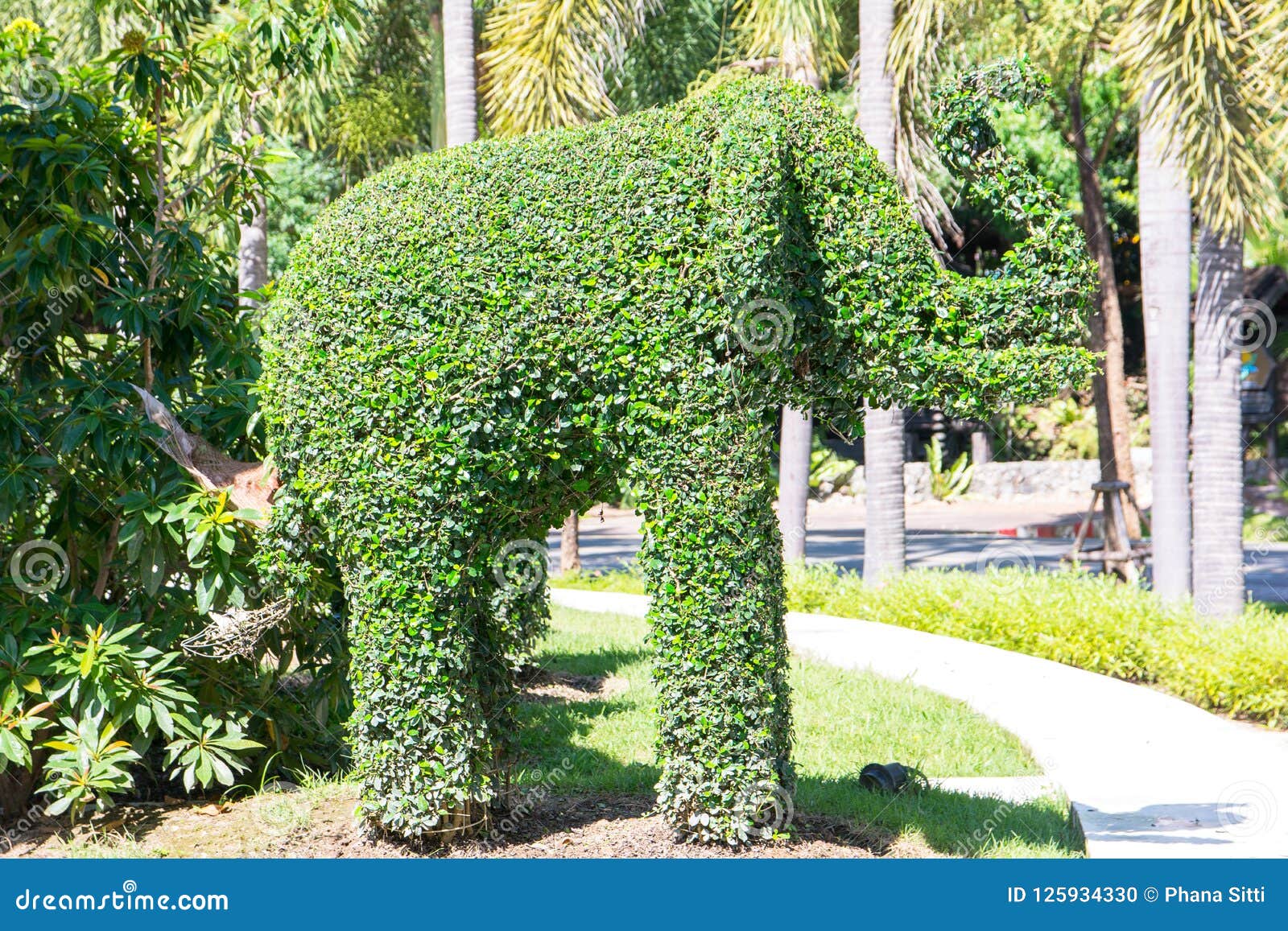 Bending Elephant Trees Stock Photography | CartoonDealer.com #43500194
