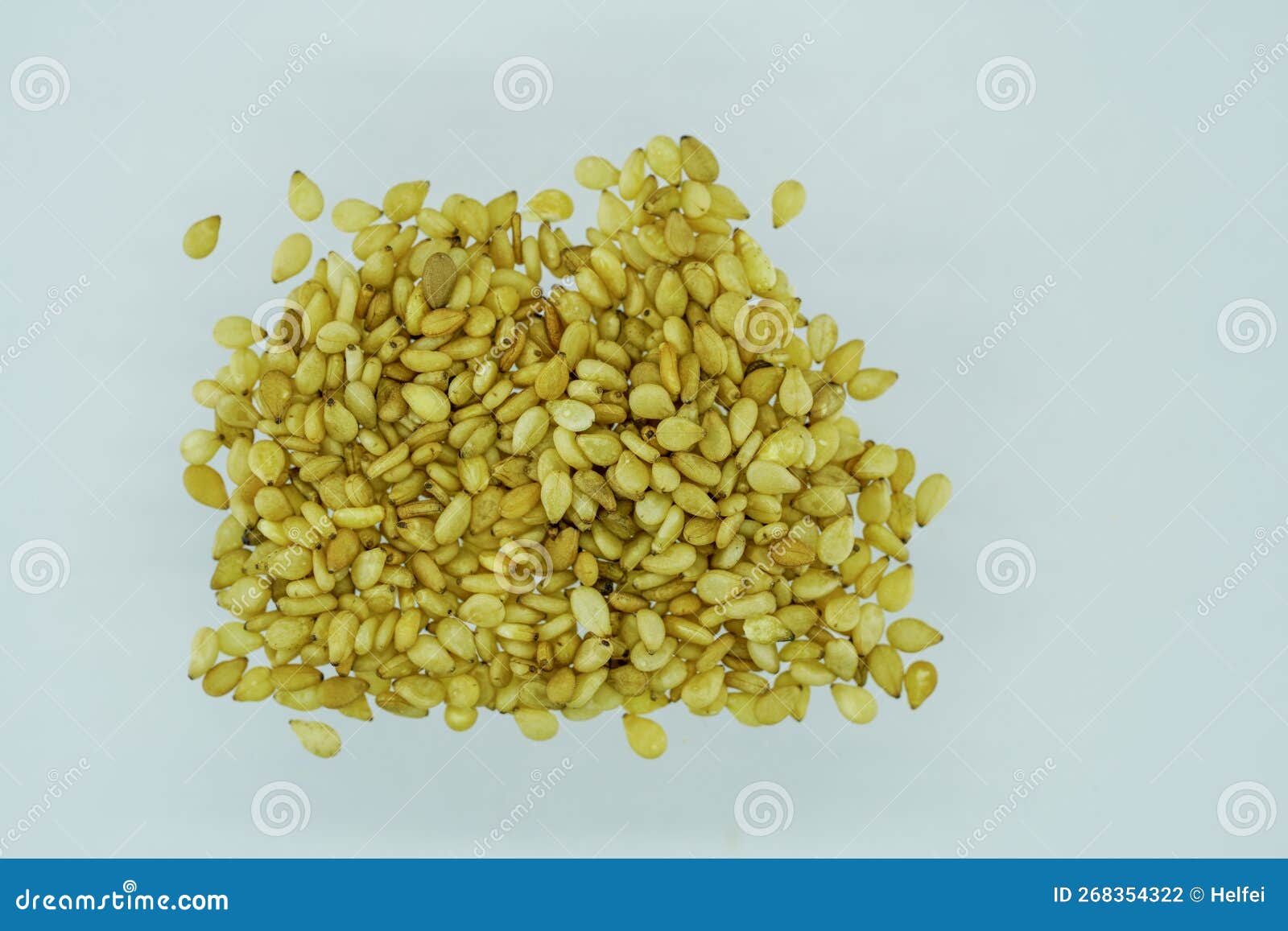 Ivy Blossoms with Leaves and Stems Twisting Stock Photo - Image of ...