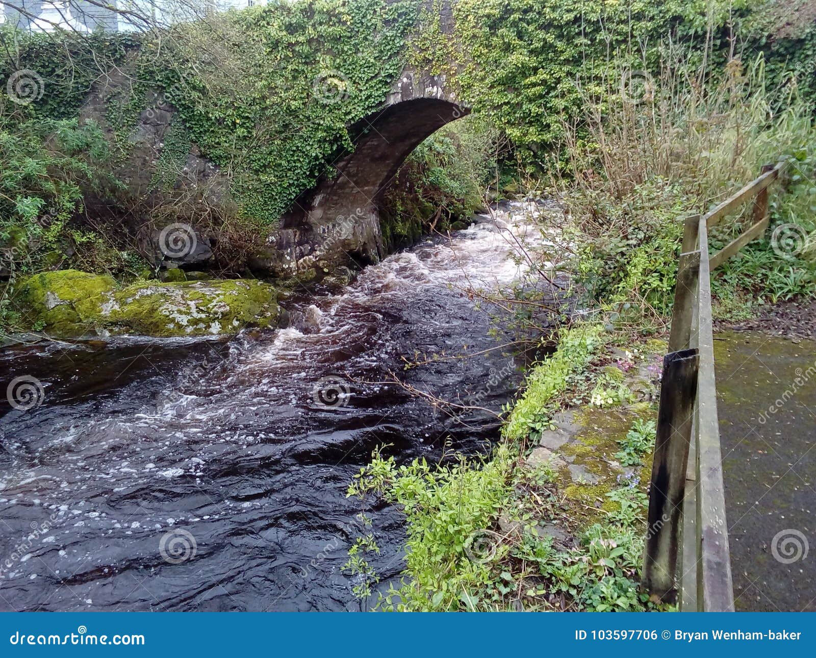 The Ivy Bridge Over River Erme Stock Photo - Image of erme, devon ...