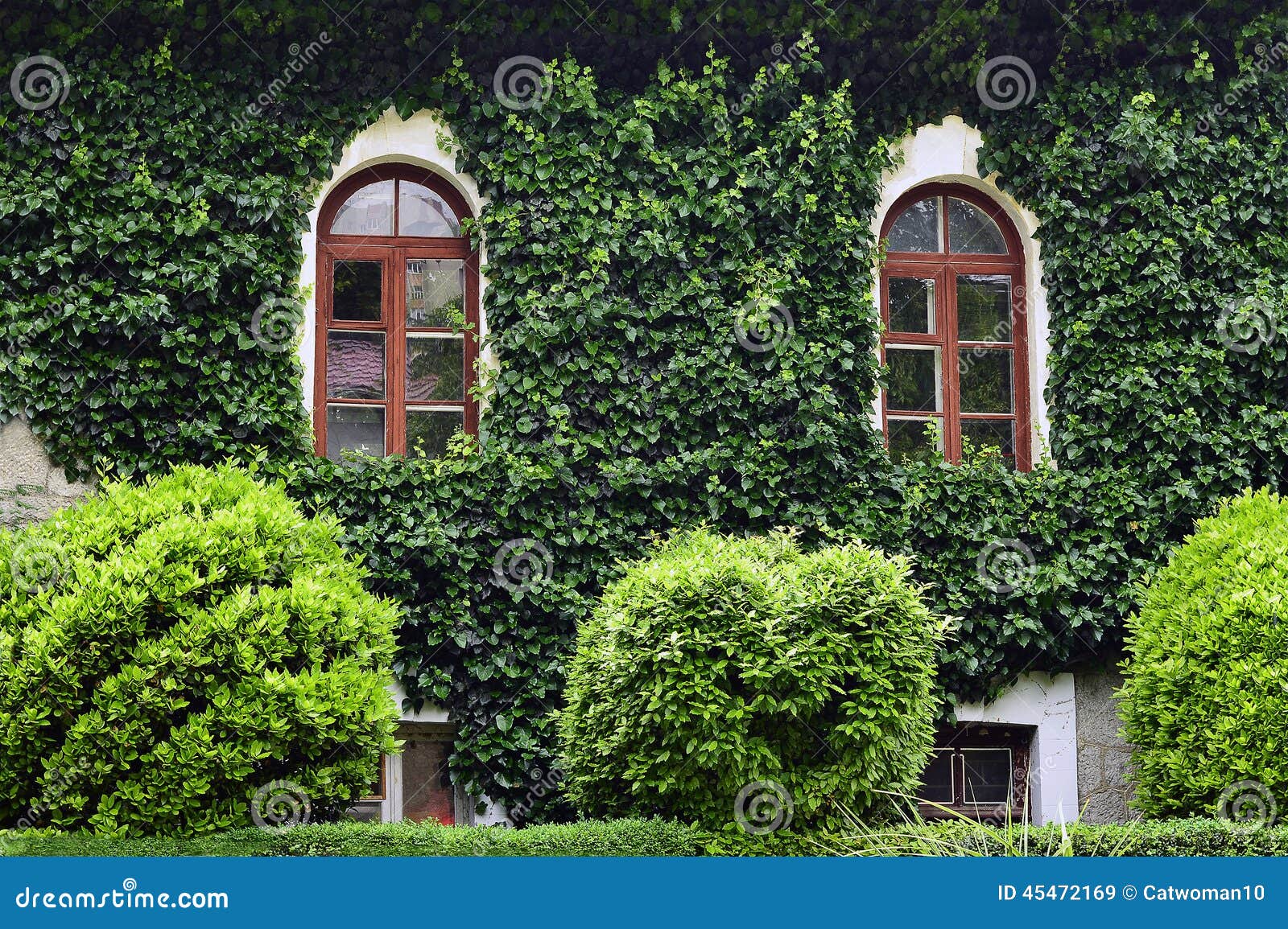 Ivy, building stock image. Image of house, vintage, decoration - 45472169