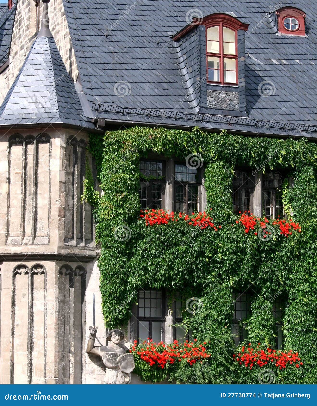 Ivy Clad Old Building in Germany Stock Photo - Image of door, green ...