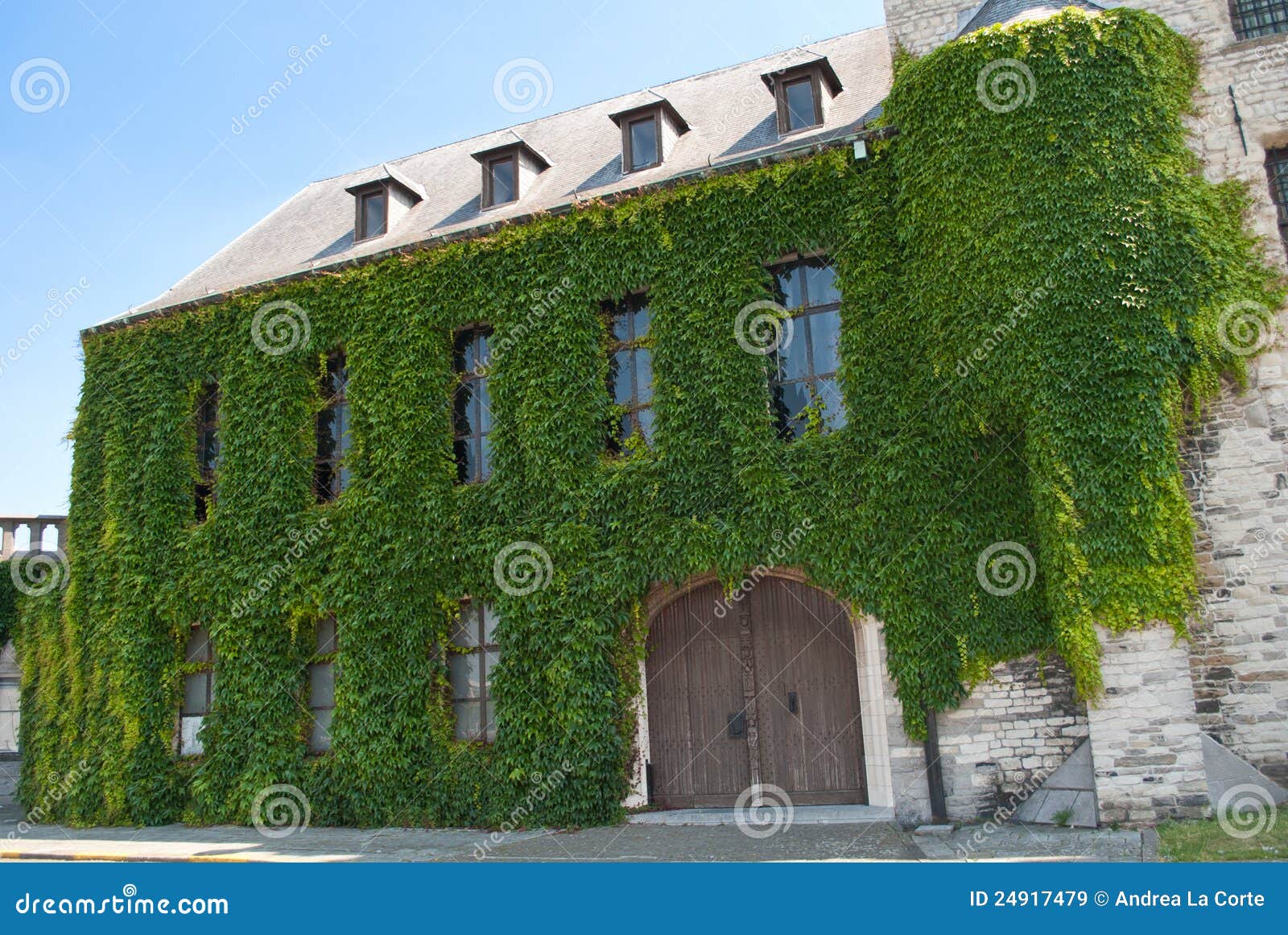 Ivy Clad Wall of Antwerp Castle Stock Image - Image of bushes, growing ...