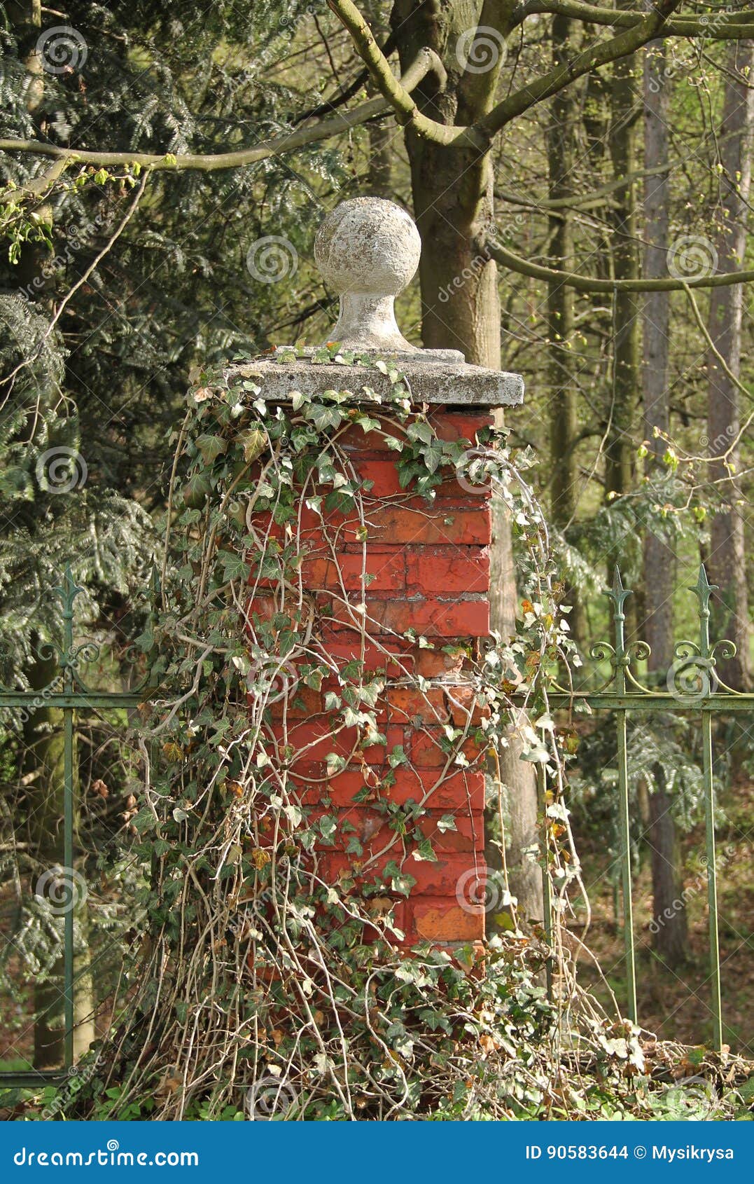 Ivy in the column stock photo. Image of stake, nook, cover - 90583644
