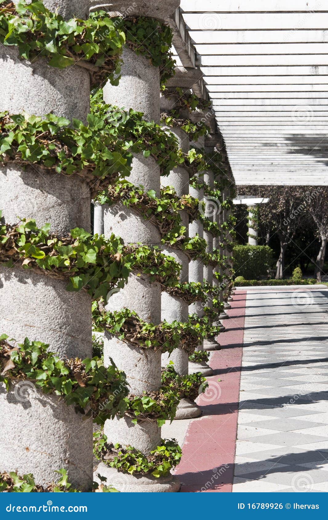 Ivy on columns (II) stock photo. Image of design, climb - 16789926