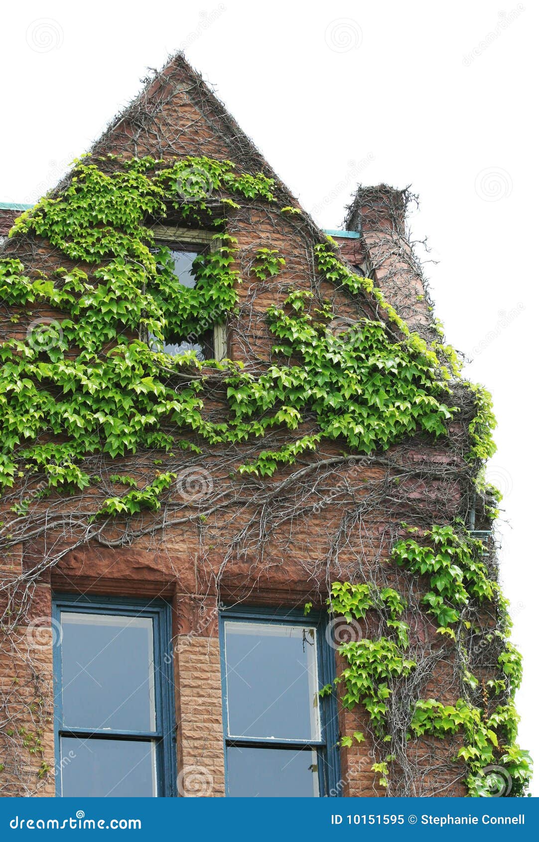 Ivy covered brick building stock image. Image of exterior - 10151595