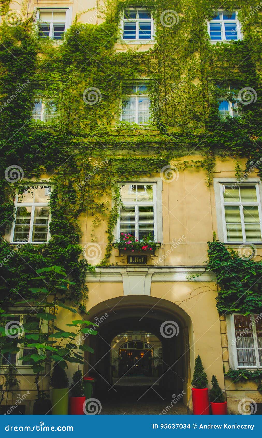 Ivy-Covered Courtyard Vienna Stock Photo - Image of foliage, arch: 95637034