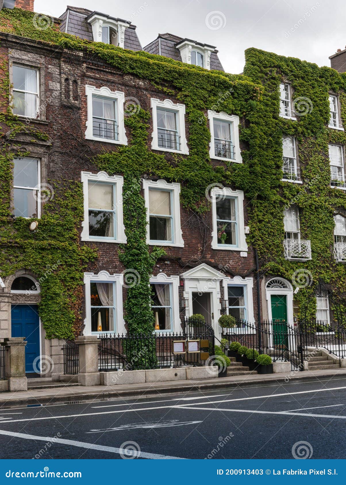 Ivy Covered Facade in Dublin Stock Image - Image of city, creeper ...