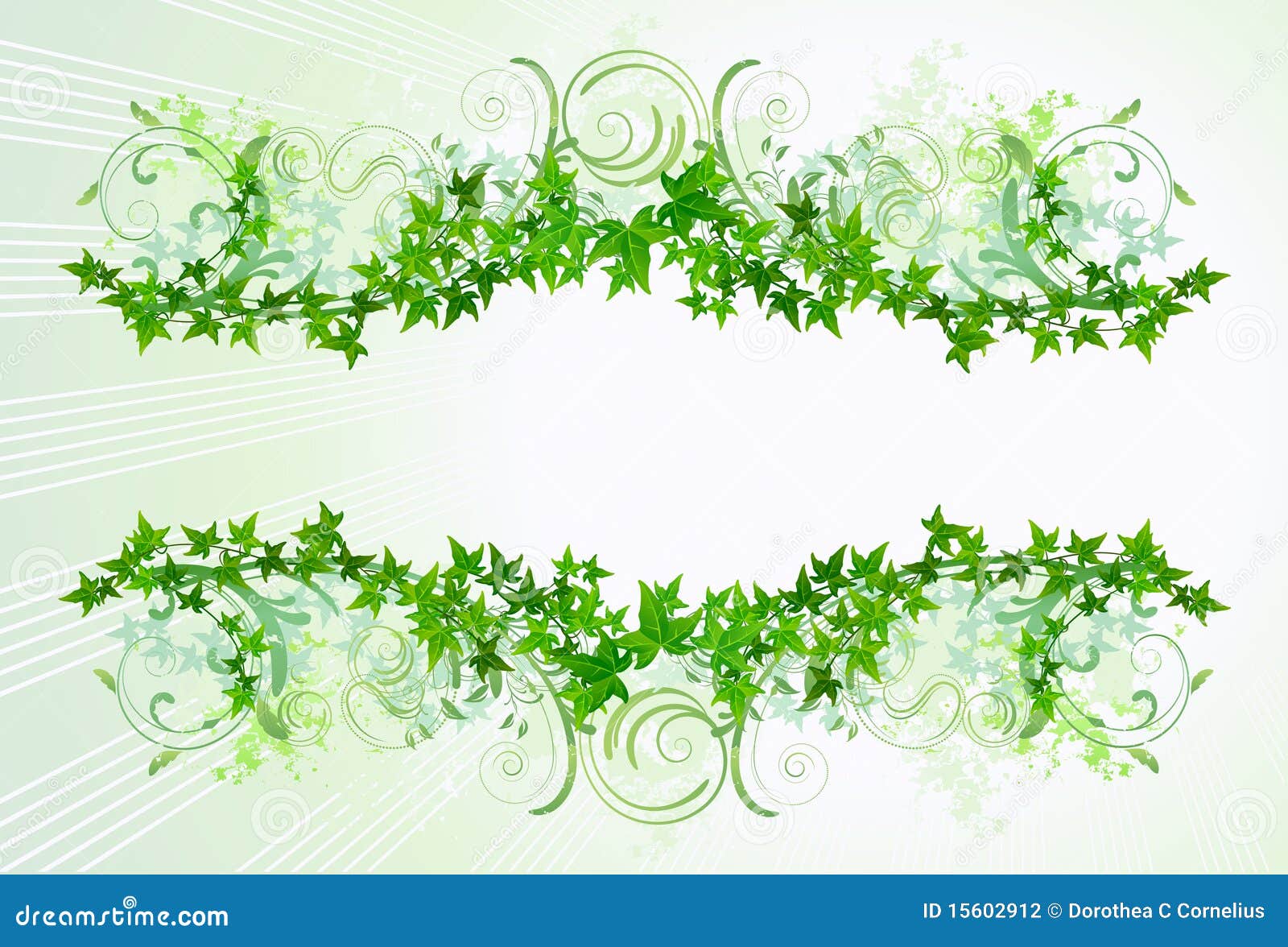 Ivy Frame stock illustration. Illustration of leaf, nature - 15602912