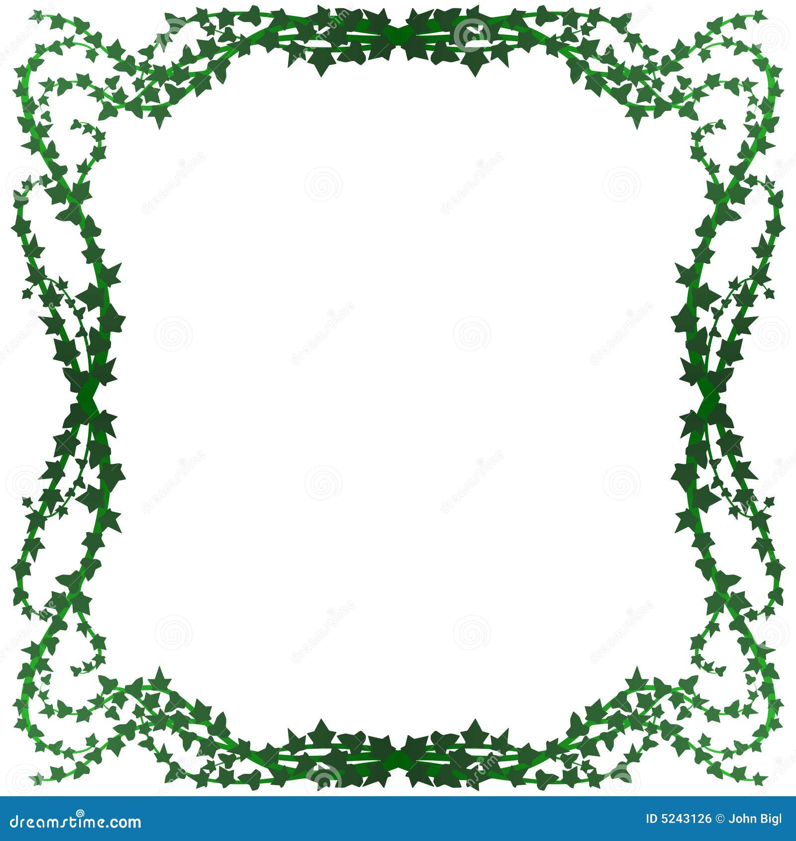 Ivy frame stock vector. Illustration of vine, decorative - 5243126