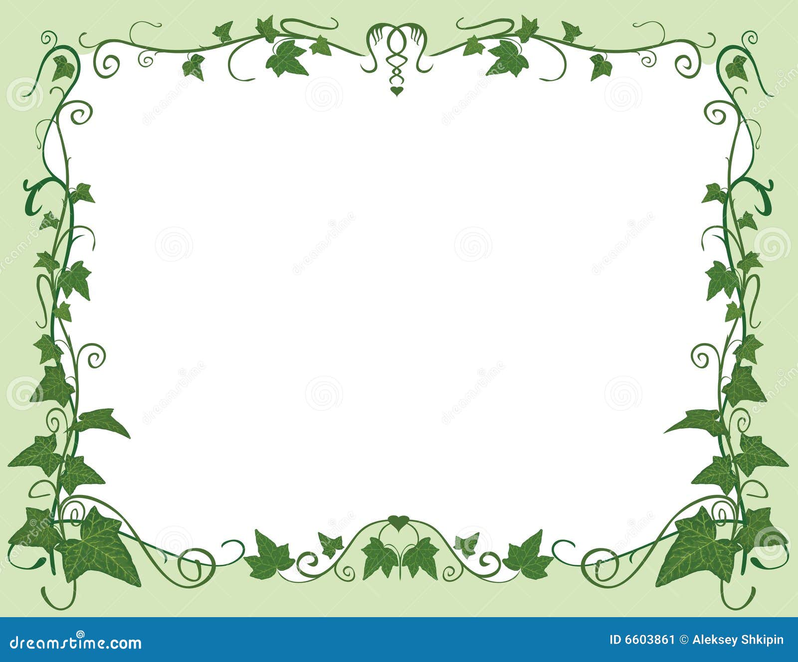 Ivy frame stock vector. Illustration of colors, flowers - 6603861