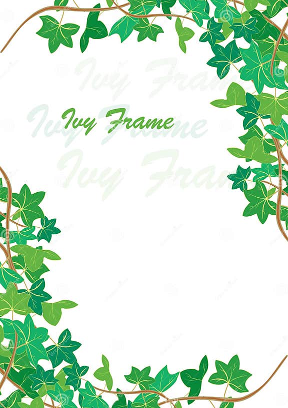 Ivy frame stock illustration. Illustration of abstraction - 9229227