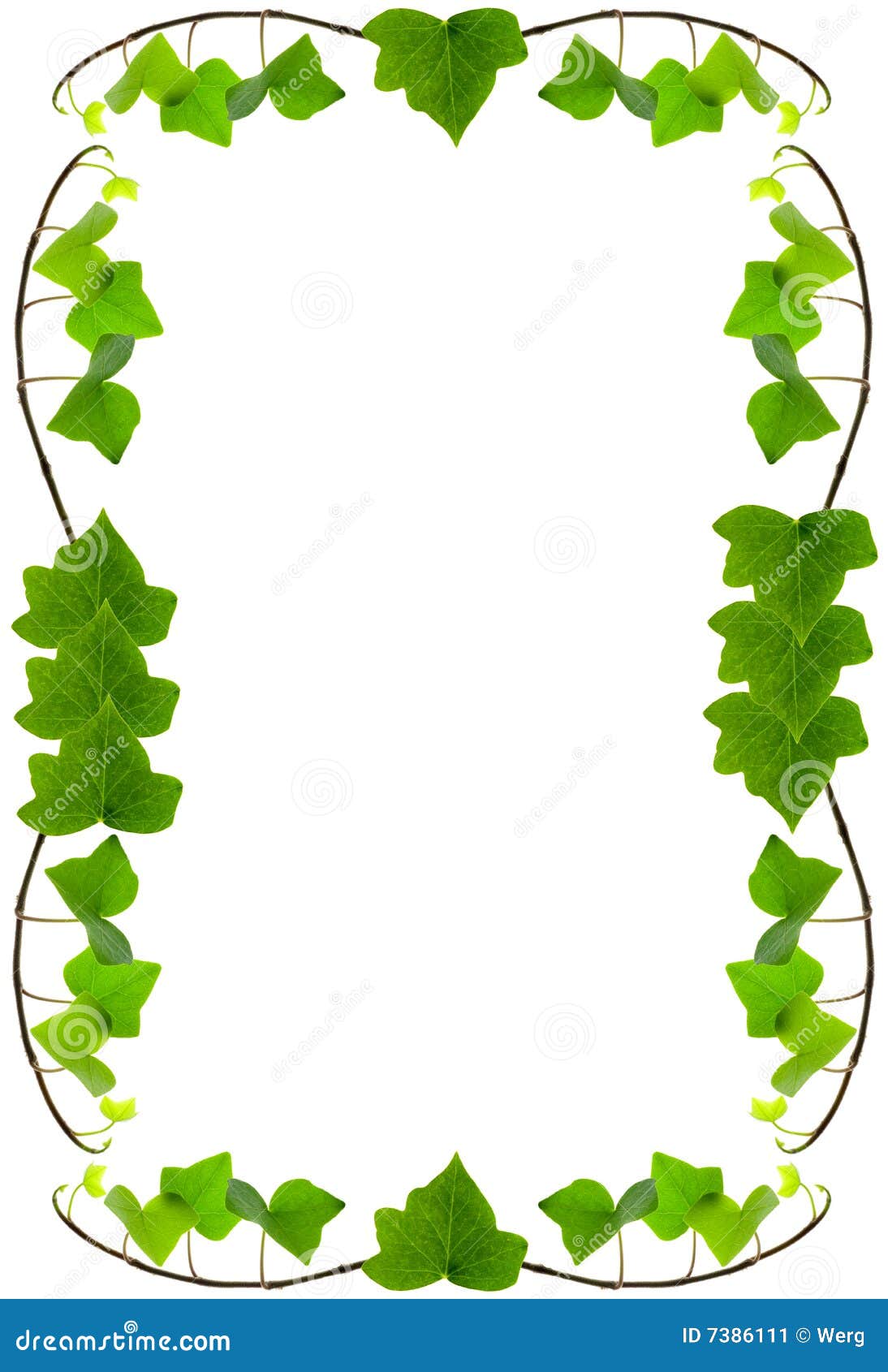 Ivy Frame Background Royalty-Free Stock Photo | CartoonDealer.com #7386111