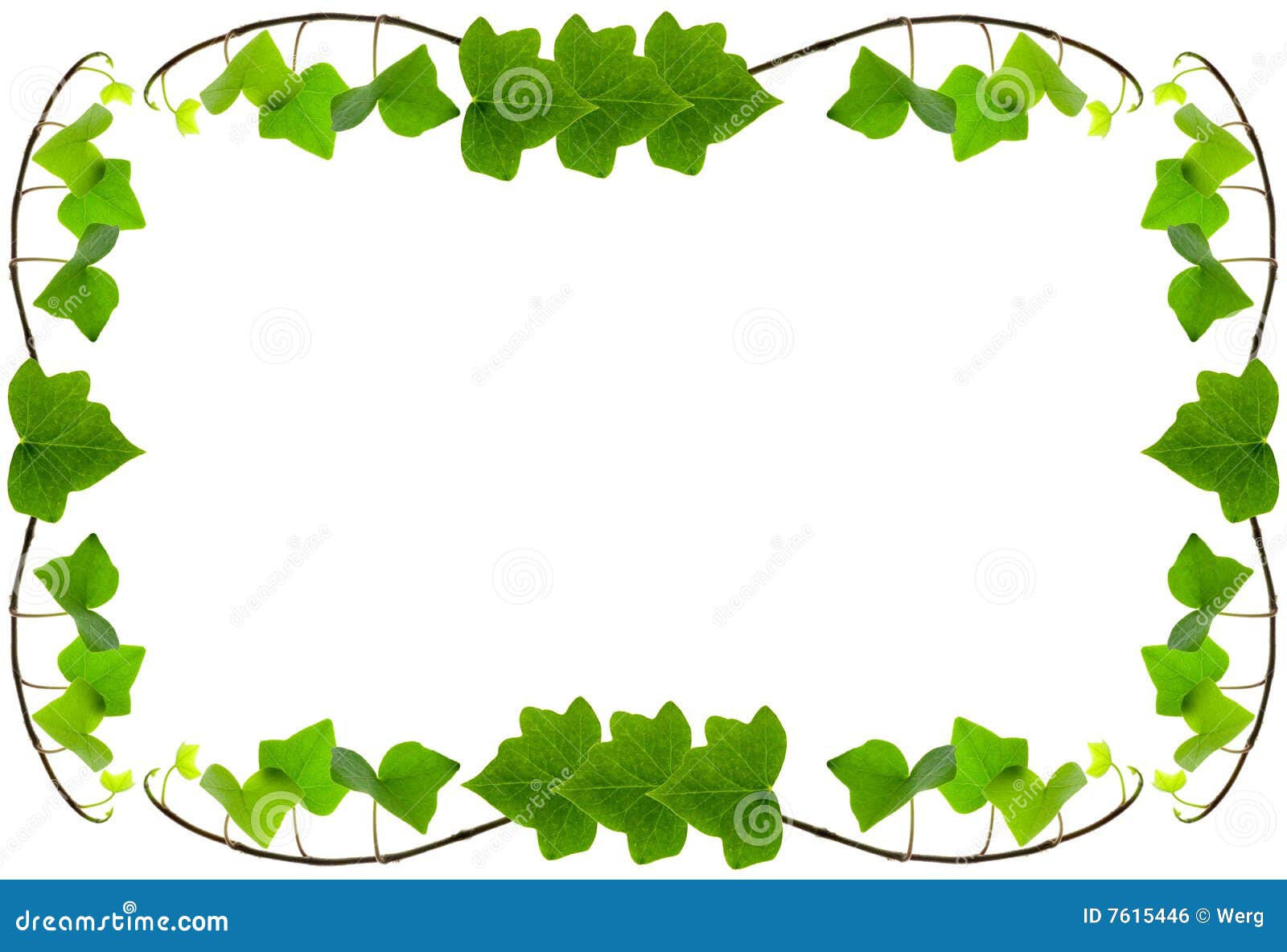 Ivy Frame Background stock photo. Image of growth, botanical - 7615446