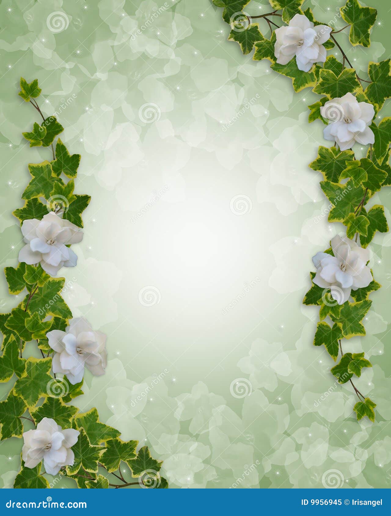 Ivy and Gardenias Floral Border Stock Illustration - Illustration of ...