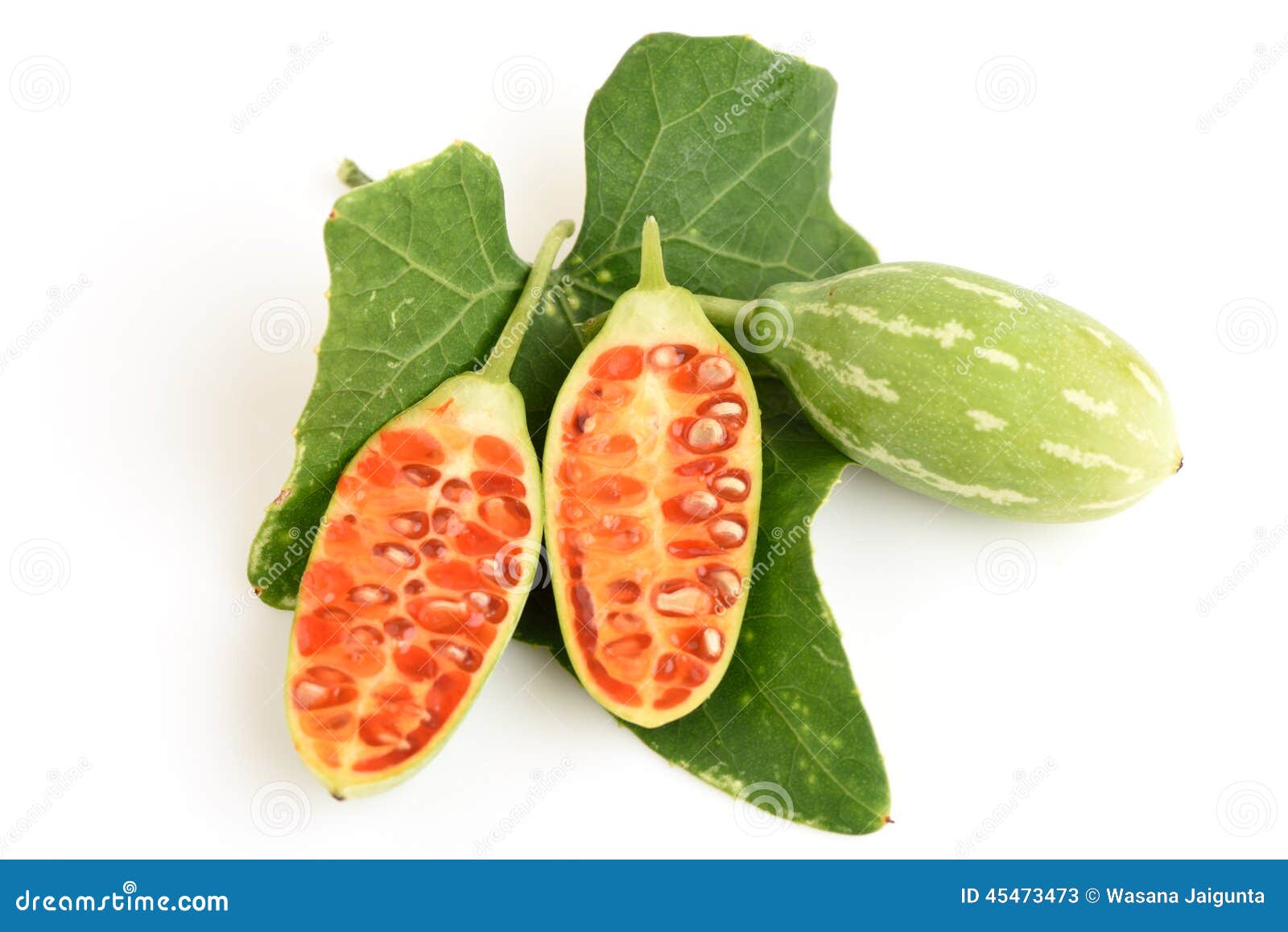 Ivy Gourd stock image. Image of coccinia, properties - 45473473