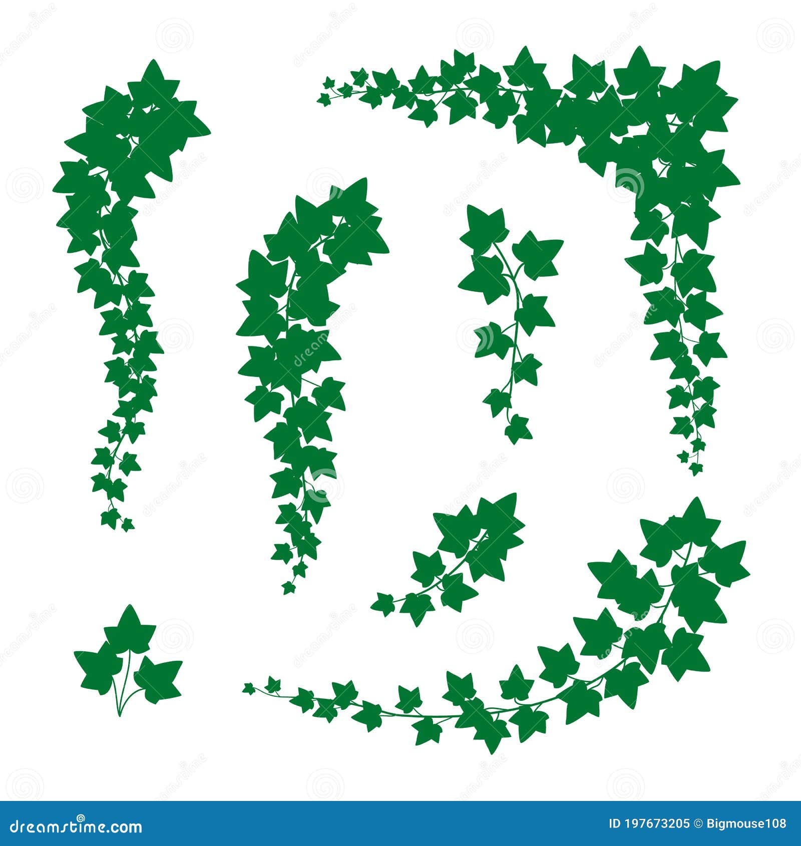 Ivy Green Leaves Different Types Set. Vector Stock Vector ...