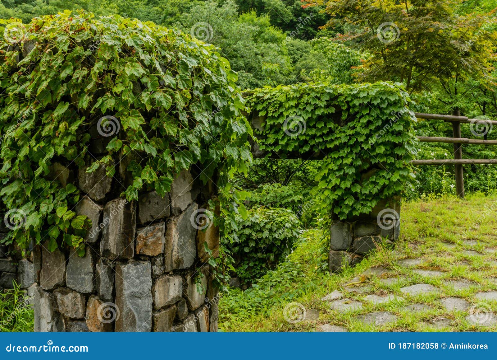 Ivy Growing on Stone Pillars Stock Photo - Image of cultivated, foliage ...