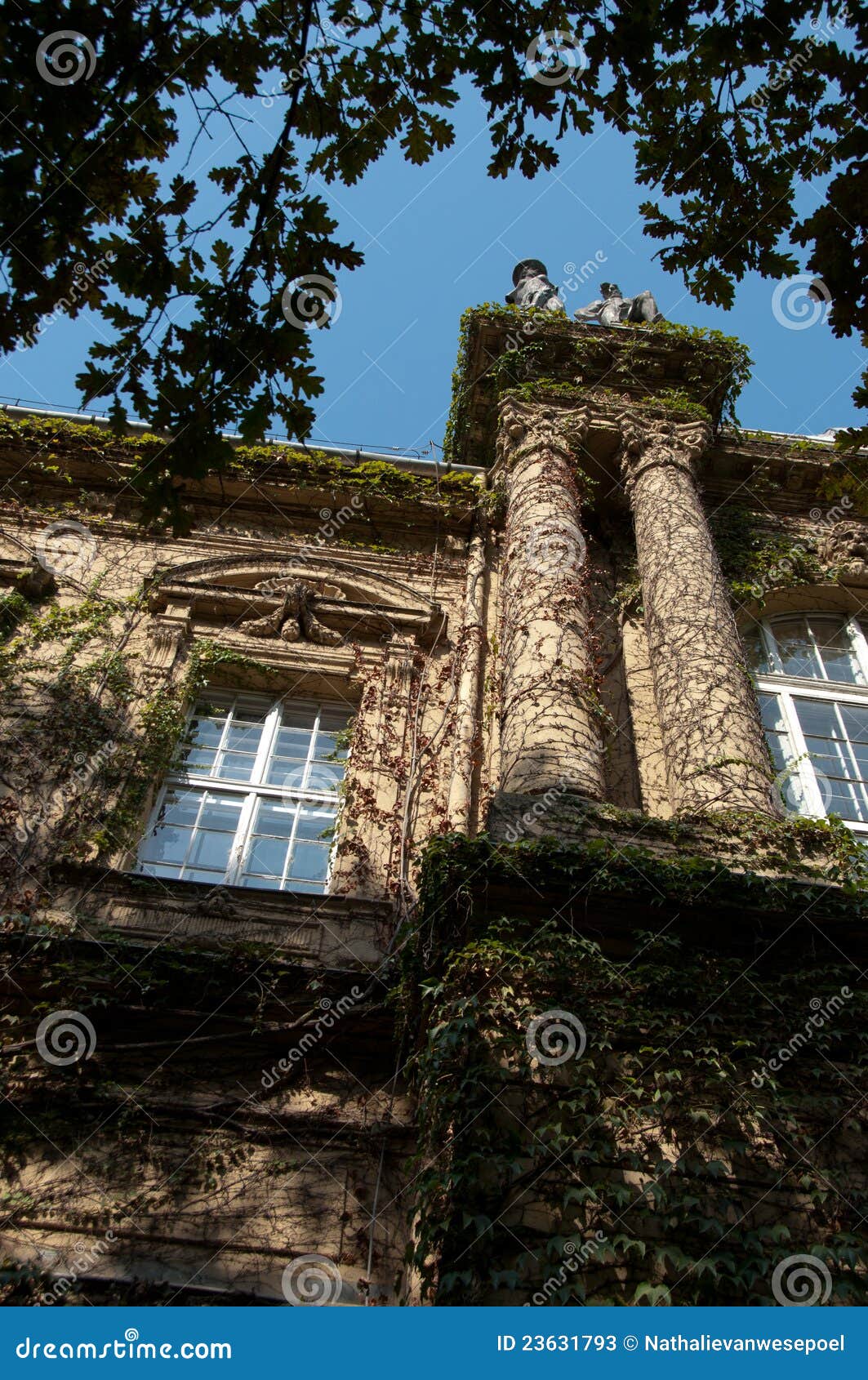 Ivy-grown building stock image. Image of branches, destination - 23631793