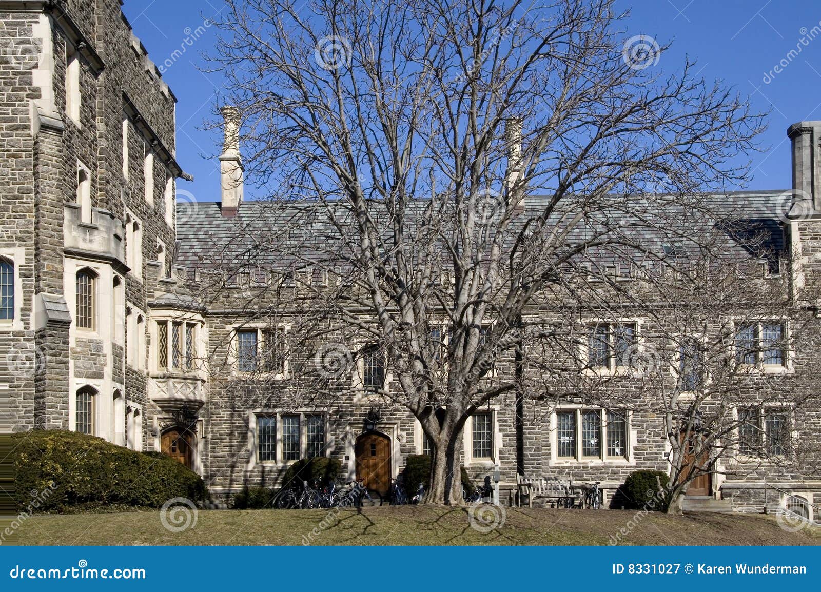 Ivy League College Building--Princeton University Editorial Photography ...