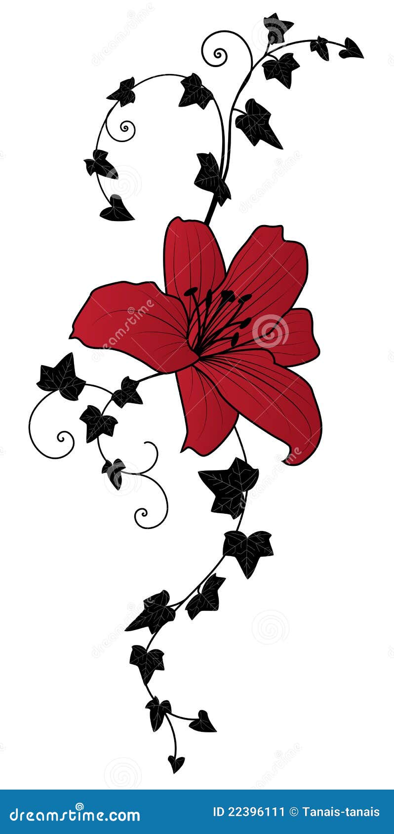 Ivy and lily stock vector. Illustration of design, retro - 22396111