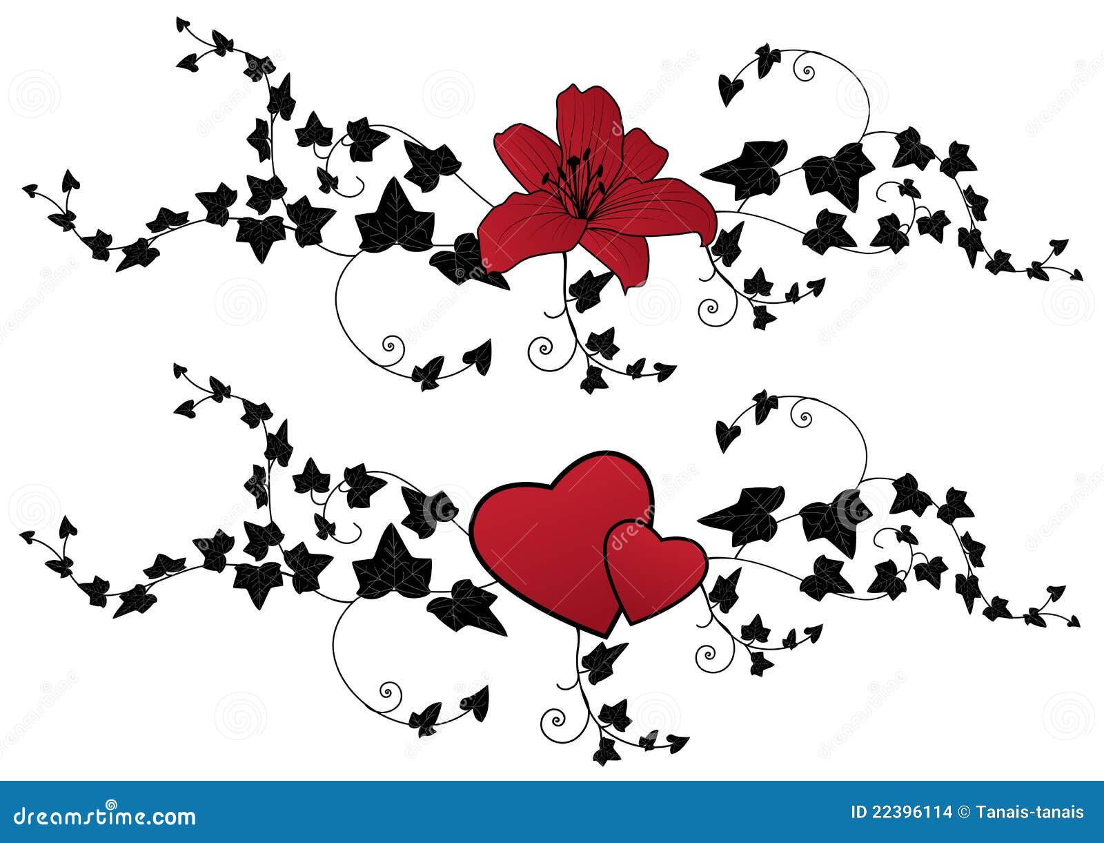 Ivy, lily and hearts stock vector. Illustration of white - 22396114