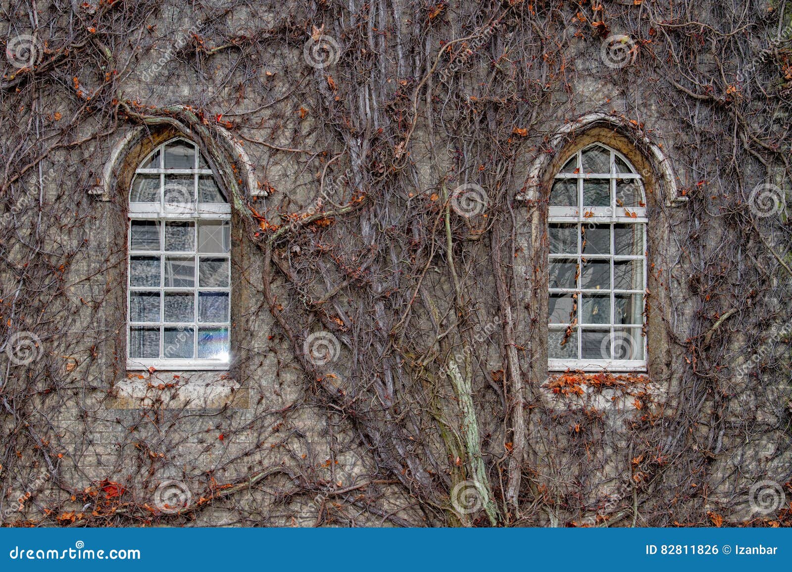 Ivy on Medieval Castle Wall Stock Photo - Image of ancient, garden ...