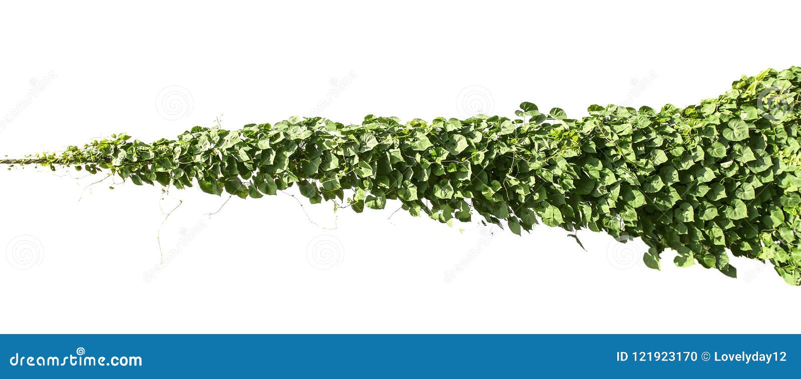 Wire Electric Messy Stock Photography | CartoonDealer.com #89377784