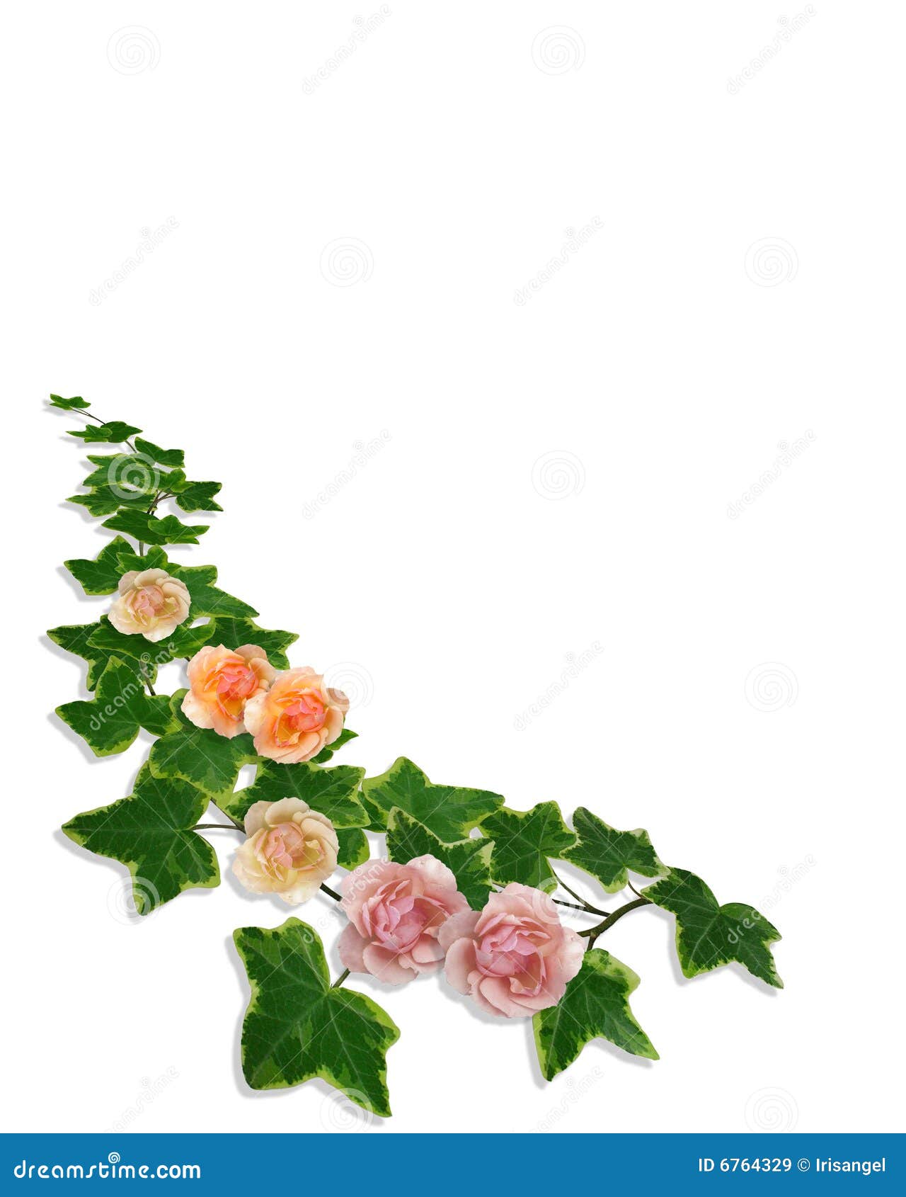 Ivy Roses Floral Border Invitation Stock Illustration - Illustration of ...