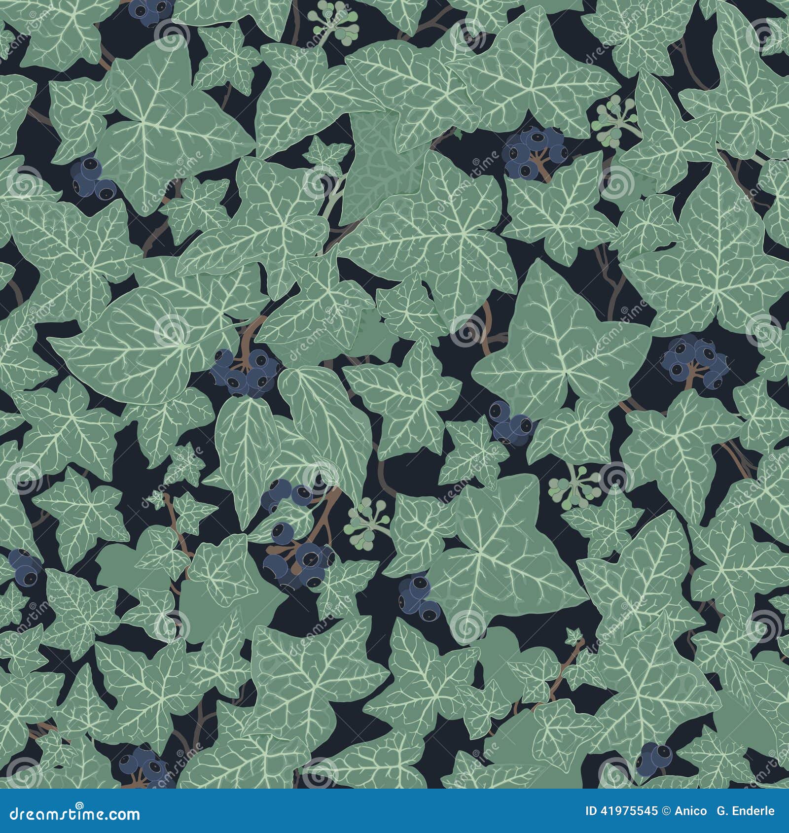 Ivy seamless pattern stock vector. Illustration of drawing - 41975545