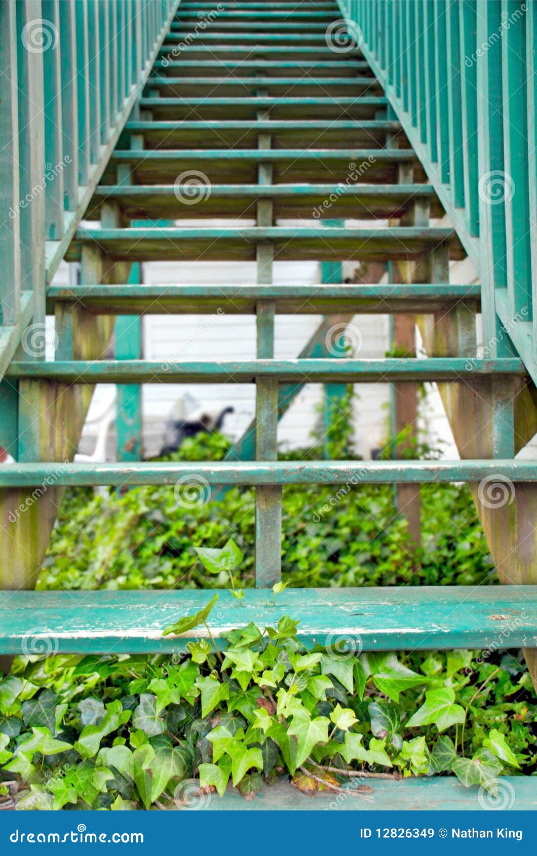 1,306 Ivy Stairs Stock Photos - Free & Royalty-Free Stock Photos from ...