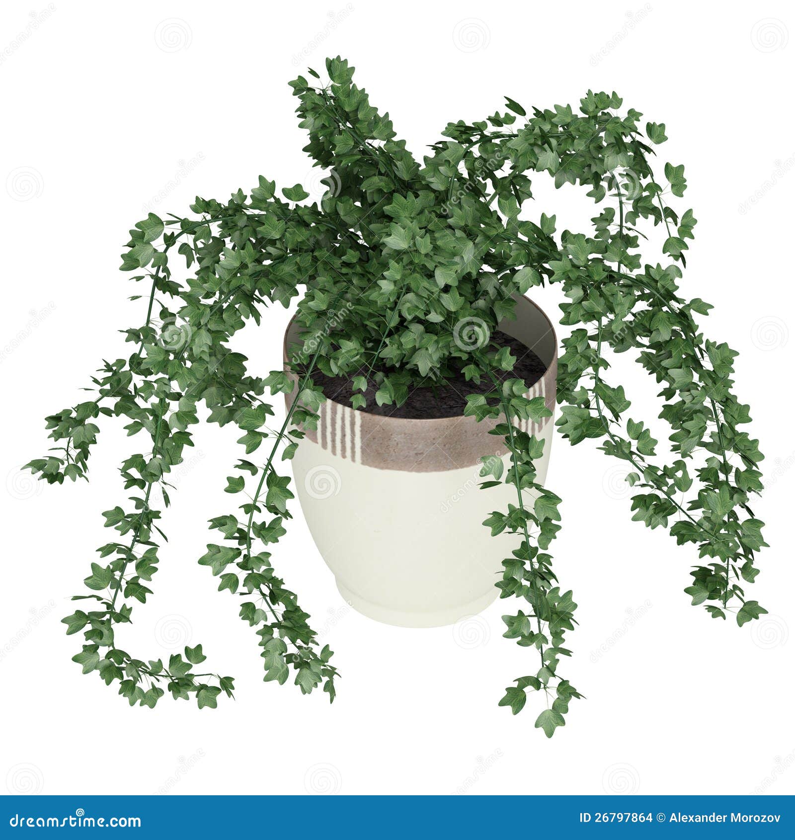 Trailing Plant Lattice Vector Repeating Pattern | CartoonDealer.com ...