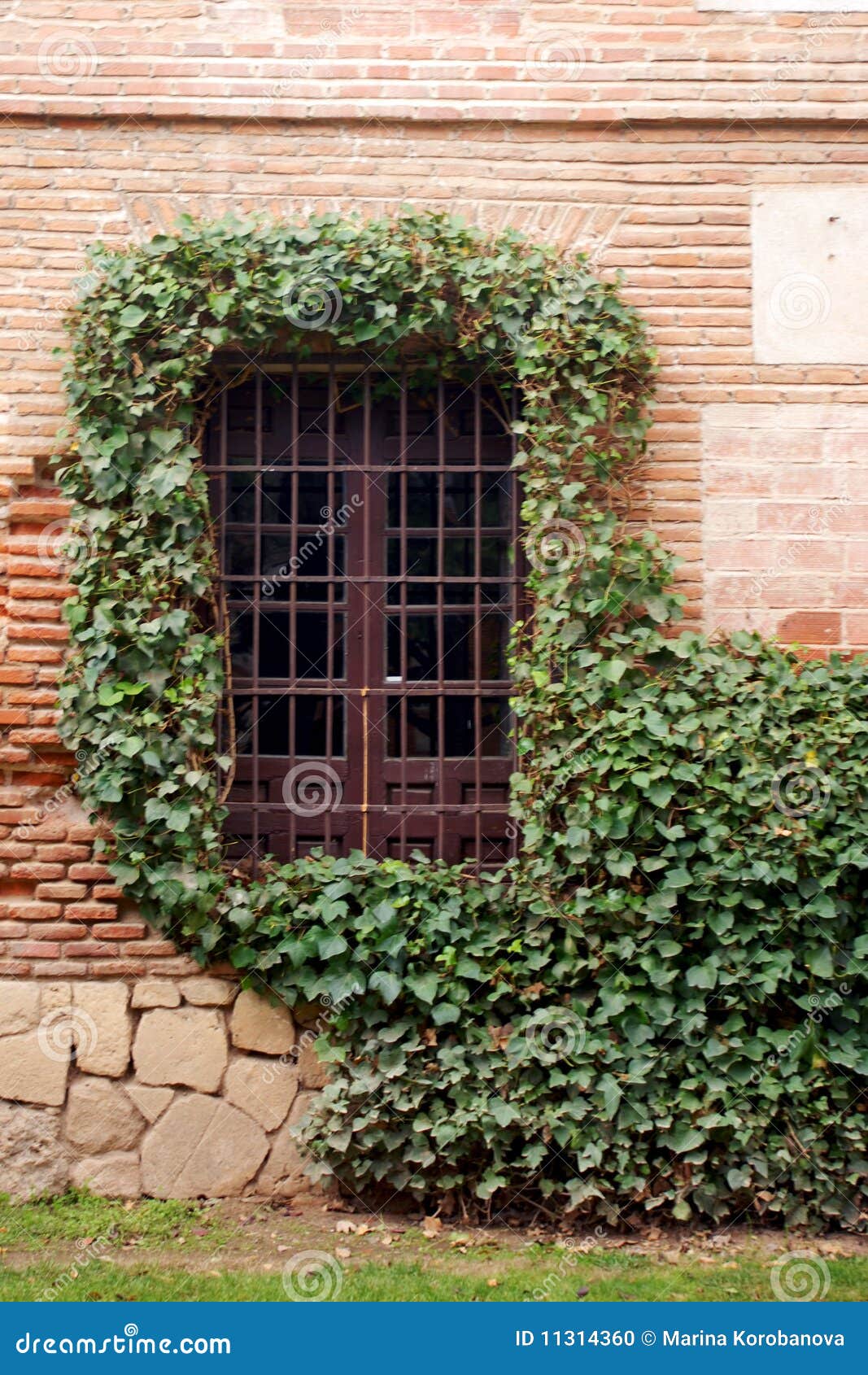 Ivy twine window stock photo. Image of brick, twine, green - 11314360