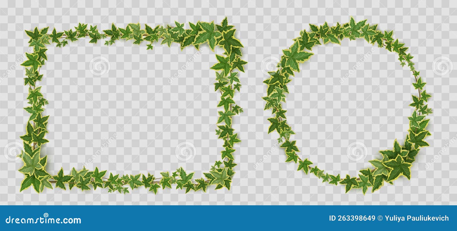 Ivy Vines Frames, Borders of Creeper Twigs Stock Vector - Illustration ...