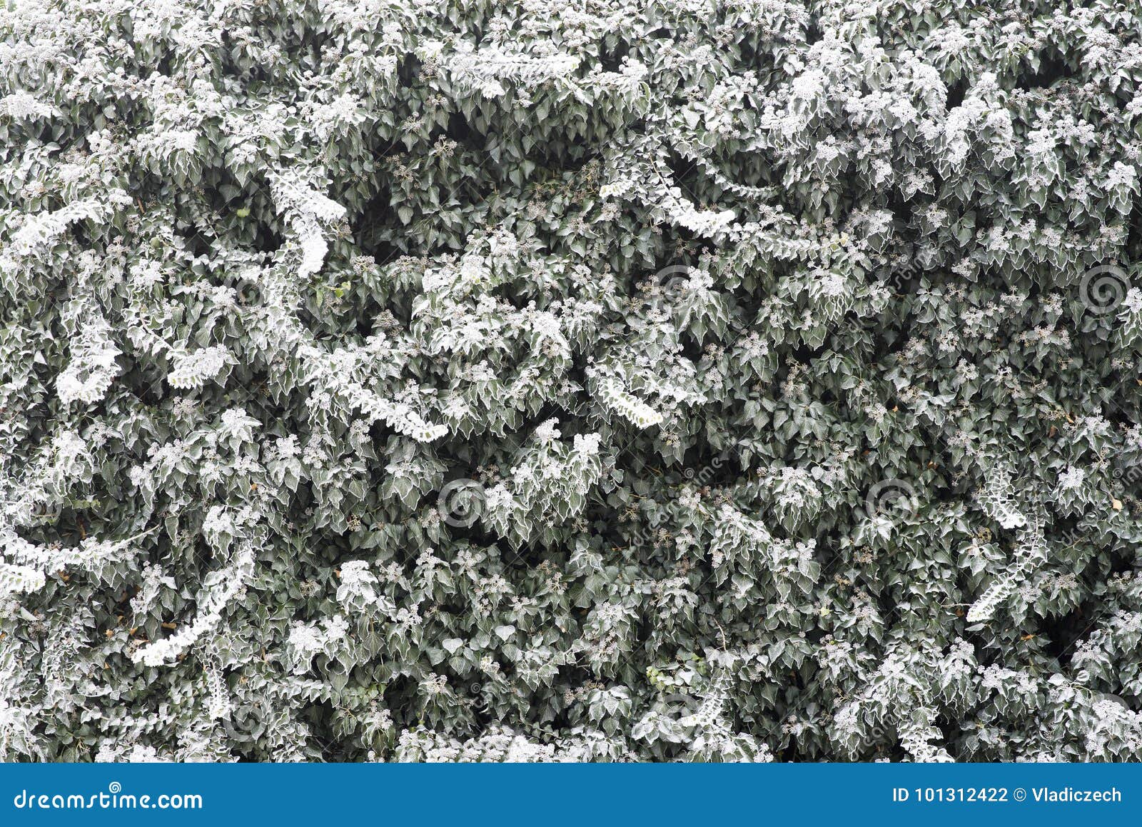 Frost Forming On The Exterior Of A Cryogenic Chamber Royalty-Free Stock ...