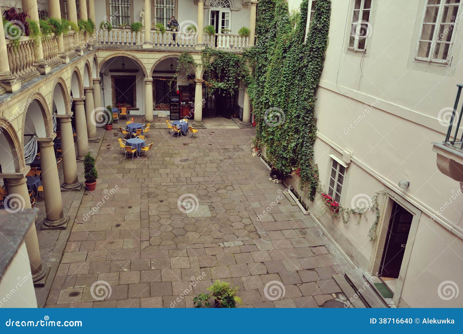 Ivy on the wall stock photo. Image of flora, nature, building - 38716640