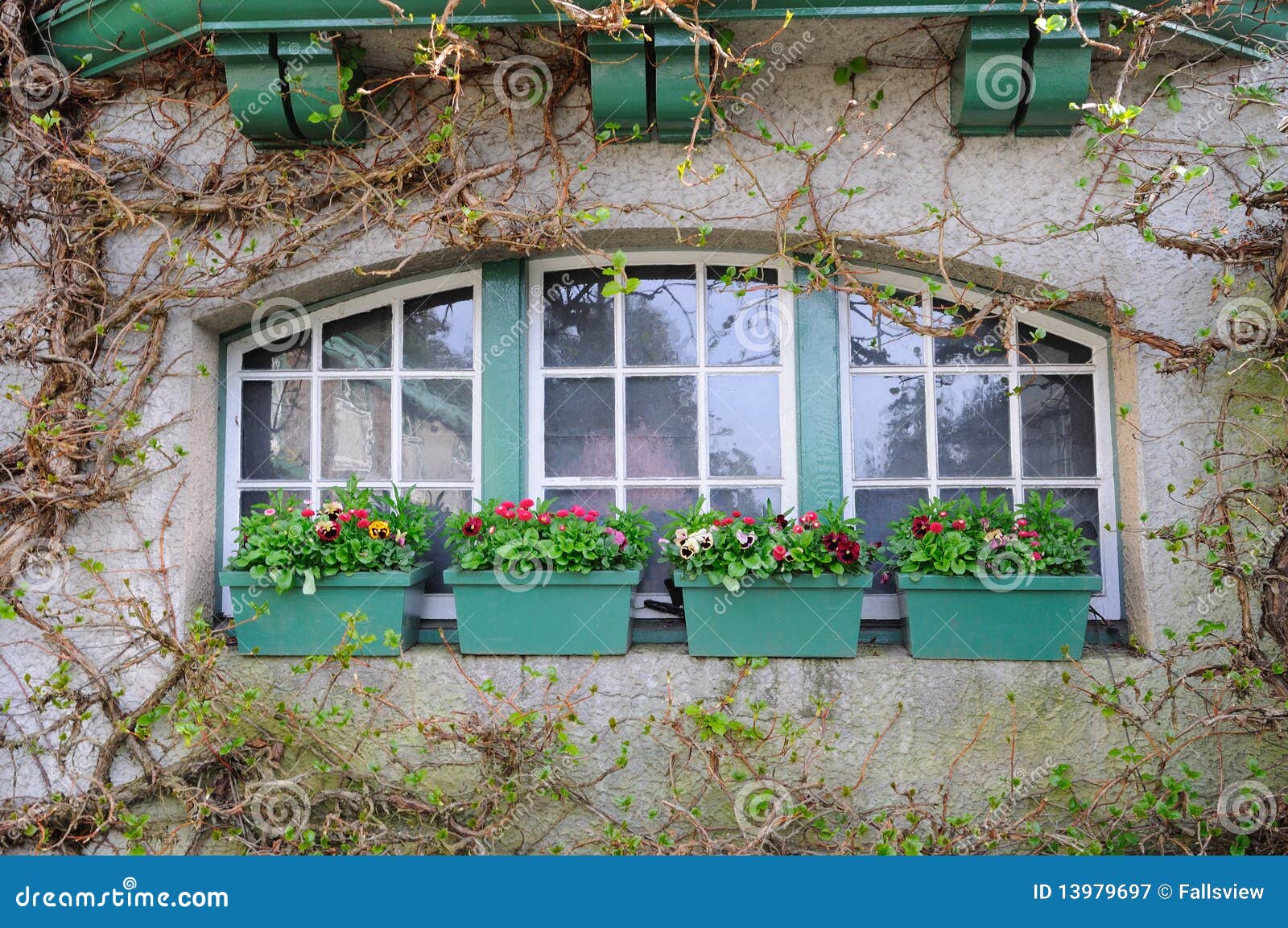 Ivy and window stock image. Image of details, outdoor - 13979697
