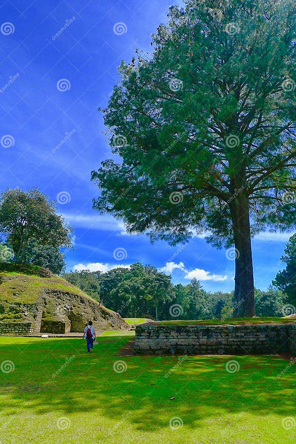 Iximche Ancient Mayan Ruins Stock Image - Image of famous, pyramid ...