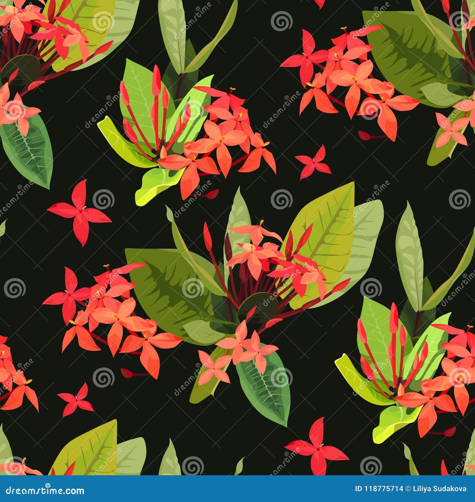 Pattern Botany Stock Illustrations – 314,155 Pattern Botany Stock ...