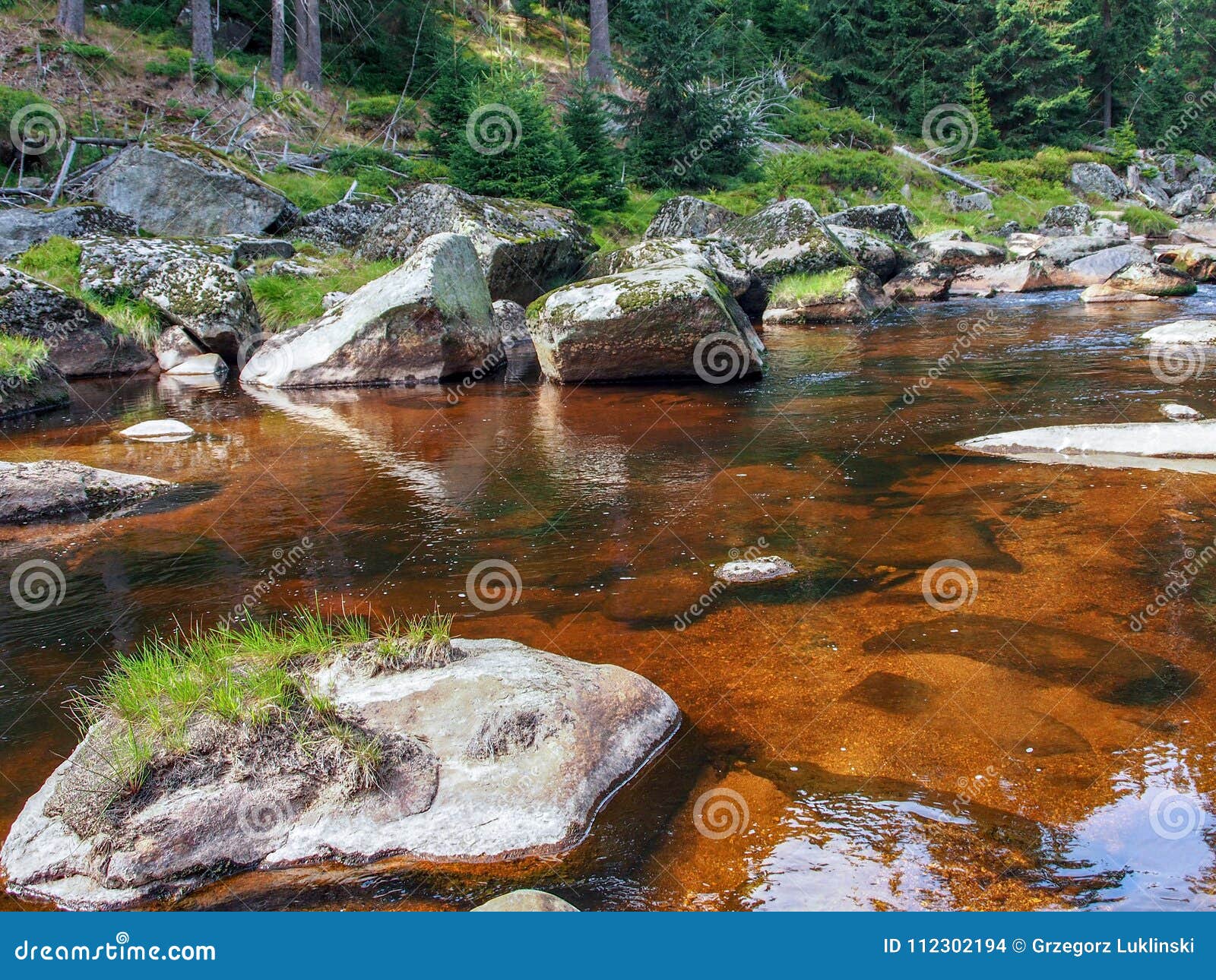 Izera River stock photo. Image of poland, rusty, river - 112302194